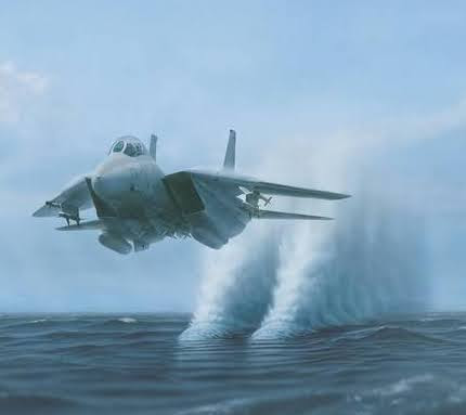 Happyscale-Modellbau: Grumman F-14 Tomcat - Matchbox 1/72