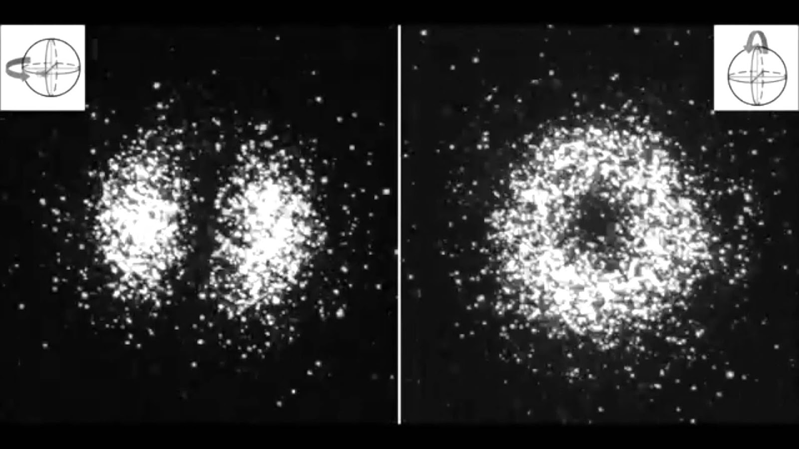 True Stories, Honest Lies: The observer effect