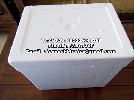 Thermafreeze Indonesia - Thermafreeze - Thermafreeze Pengganti Dry es ...