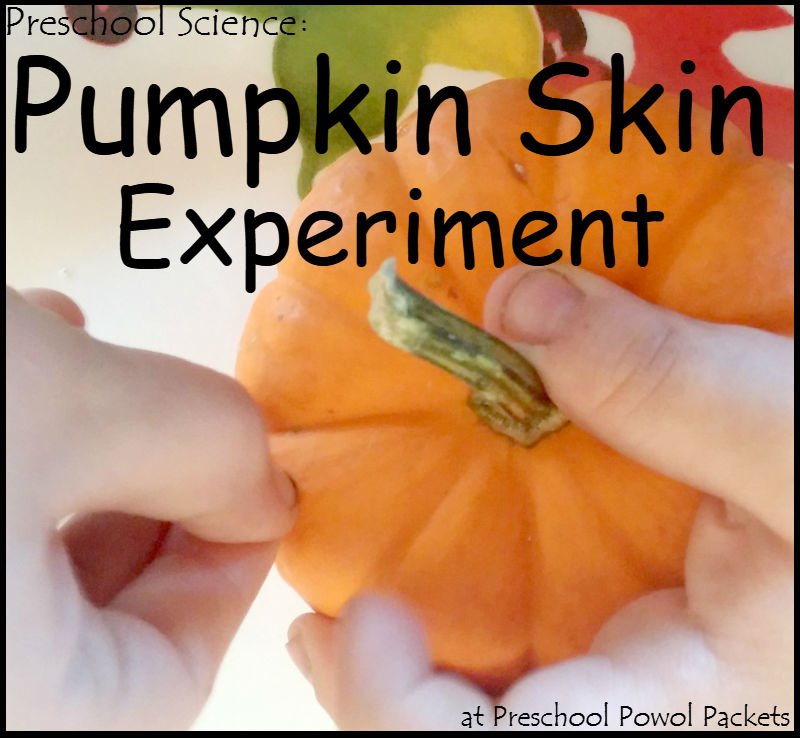 Preschool Pumpkin Skin Experiment ~ Preschool Science | Preschool Powol ...
