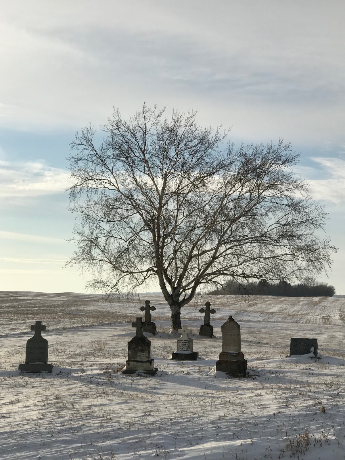 The view from here: South of Wynyard, Saskatchewan