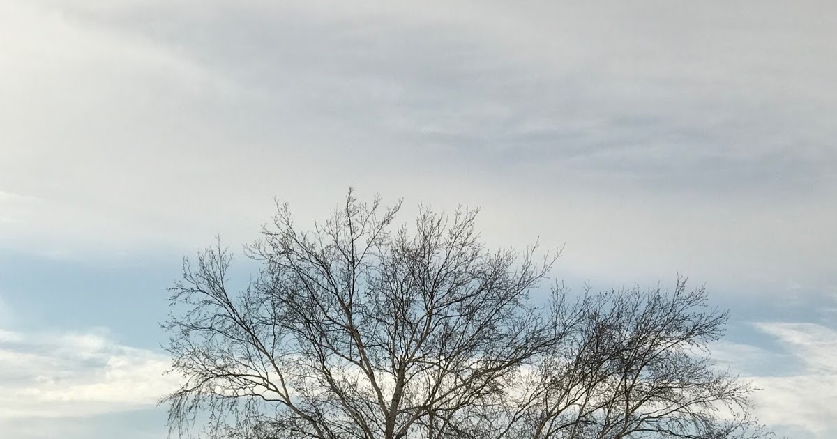 The view from here: South of Wynyard, Saskatchewan