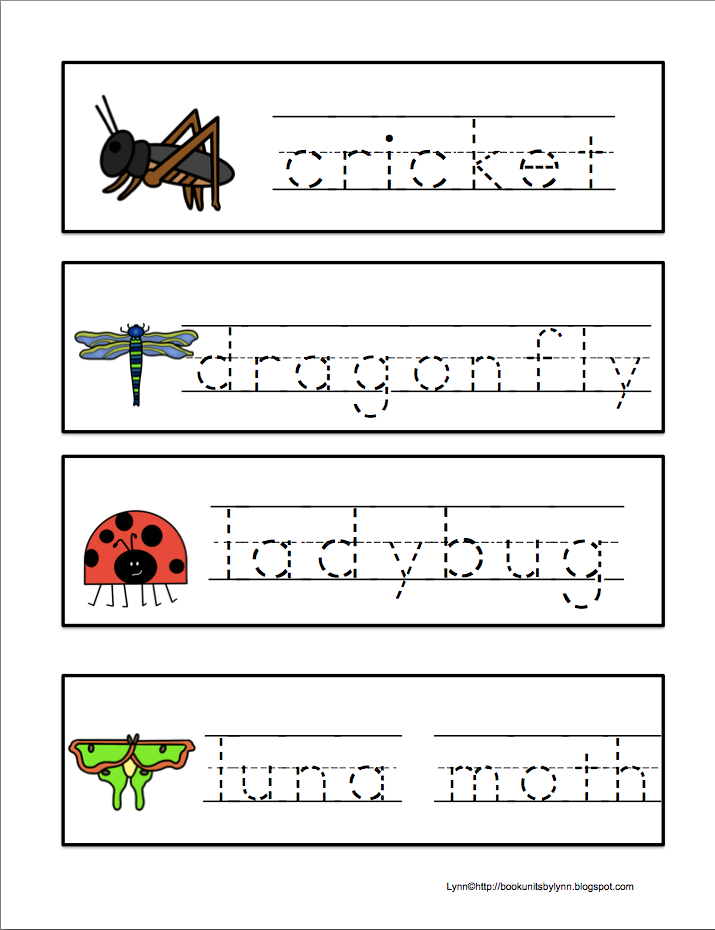 I LOVE BUGS! ~ Book Units by Lynn