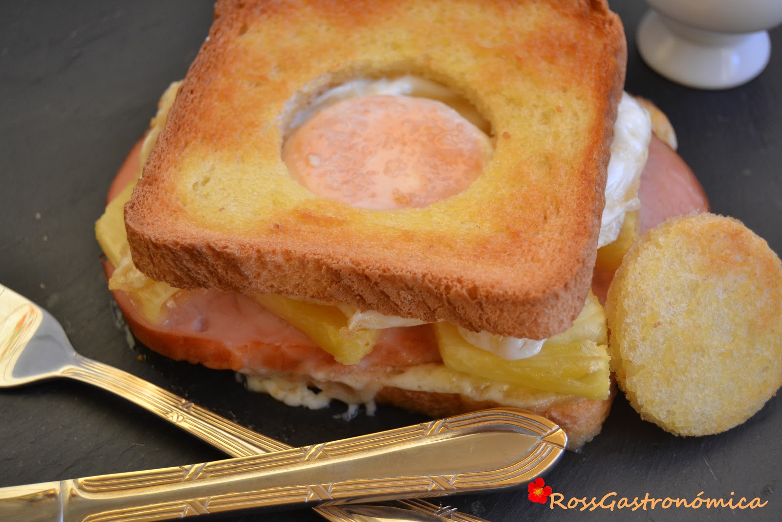 Sandwich Tropical