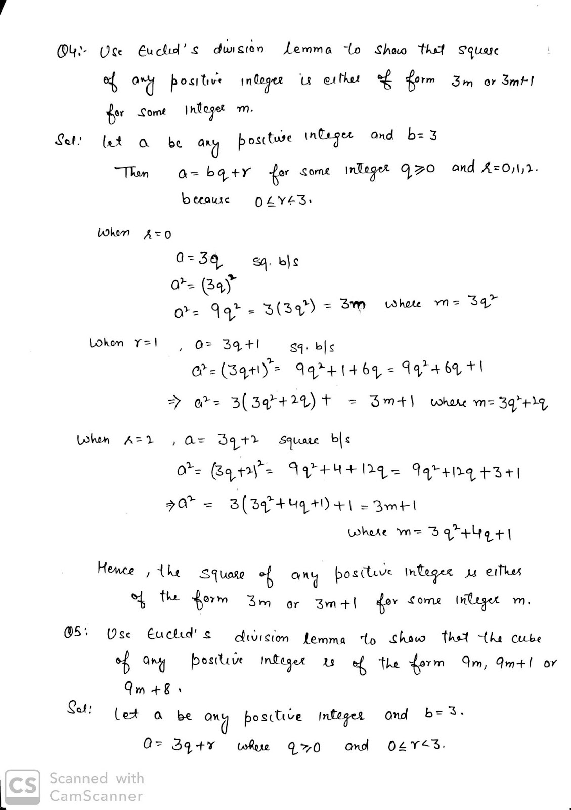Real Number Handwritten Notes For Class 10th Maths