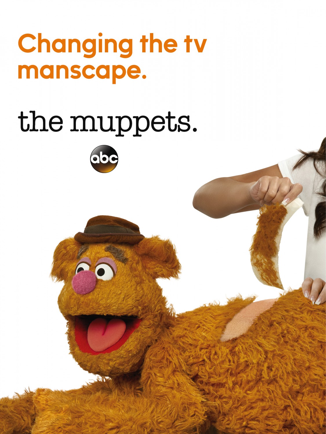 The Blot Says...: The Muppets Teaser Television Posters