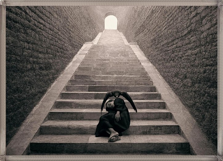 Ostáriz Art Gallery: Gregory Colbert