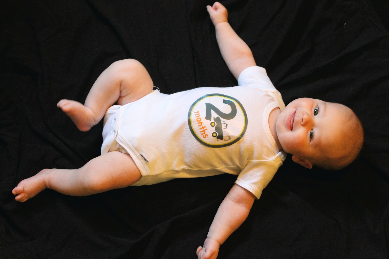 Muzzily Muddled: 12 Weeks of Awesome