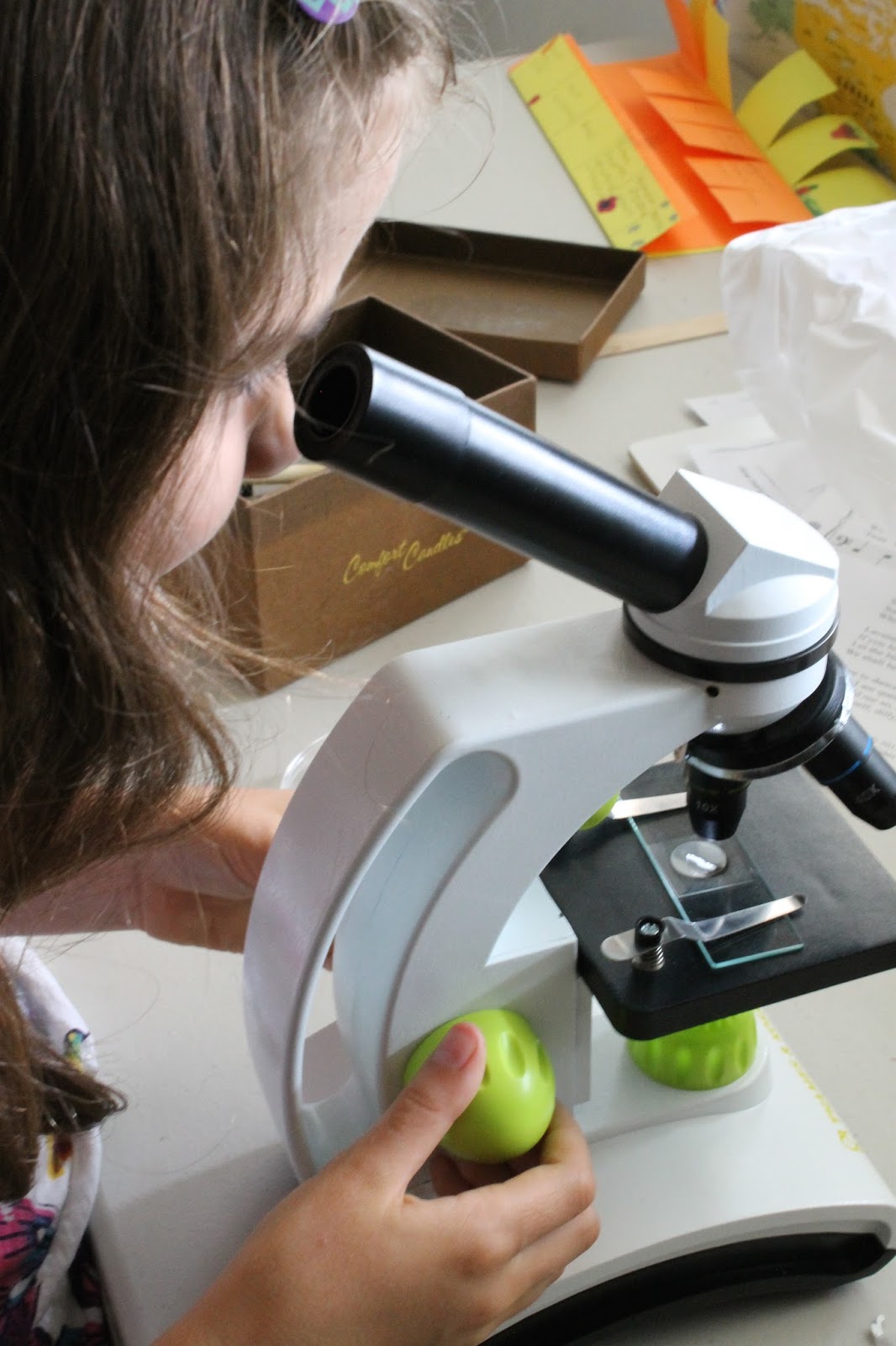 You want to learn about What??: Extracting DNA from a Strawberry
