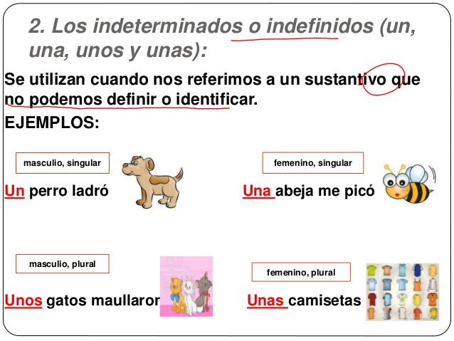 .: SUSTANTIVOS, ADJETIVOS Y ARTÍCULOS