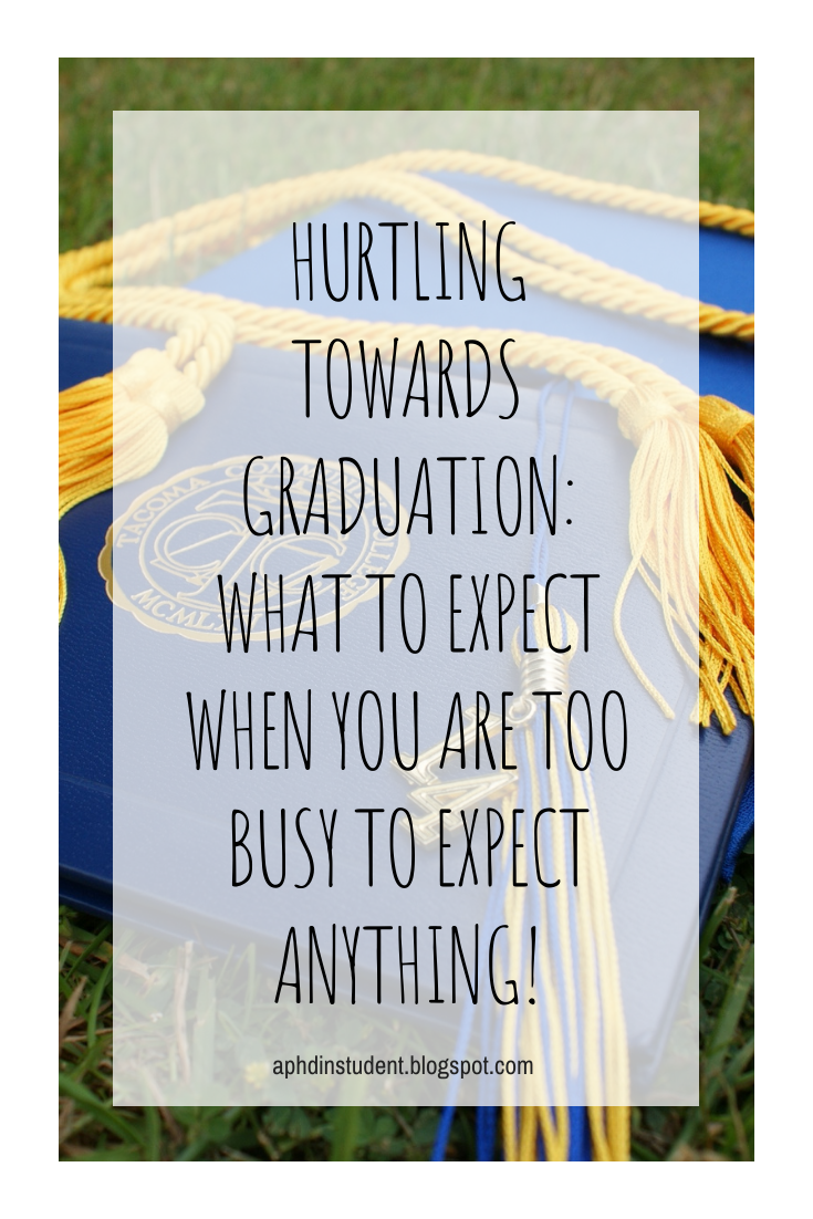 Hurtling Towards Graduation: What to Expect When You Are Too Busy to ...