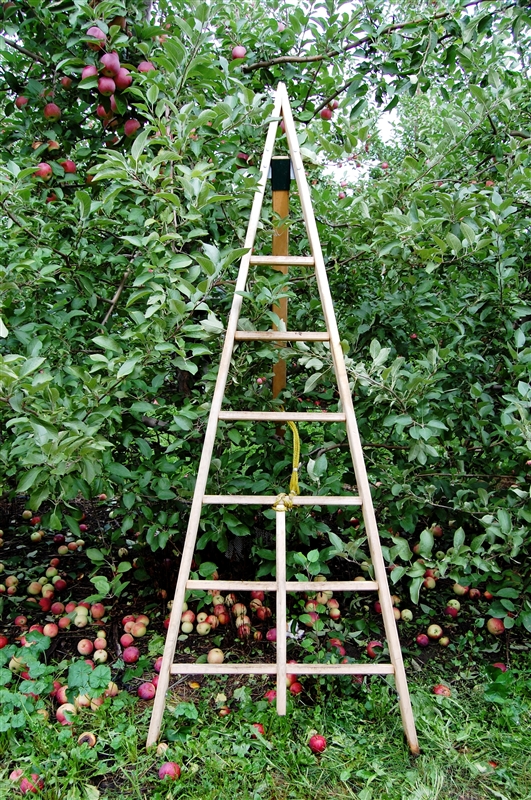 Capadia Designs: Apple Picking