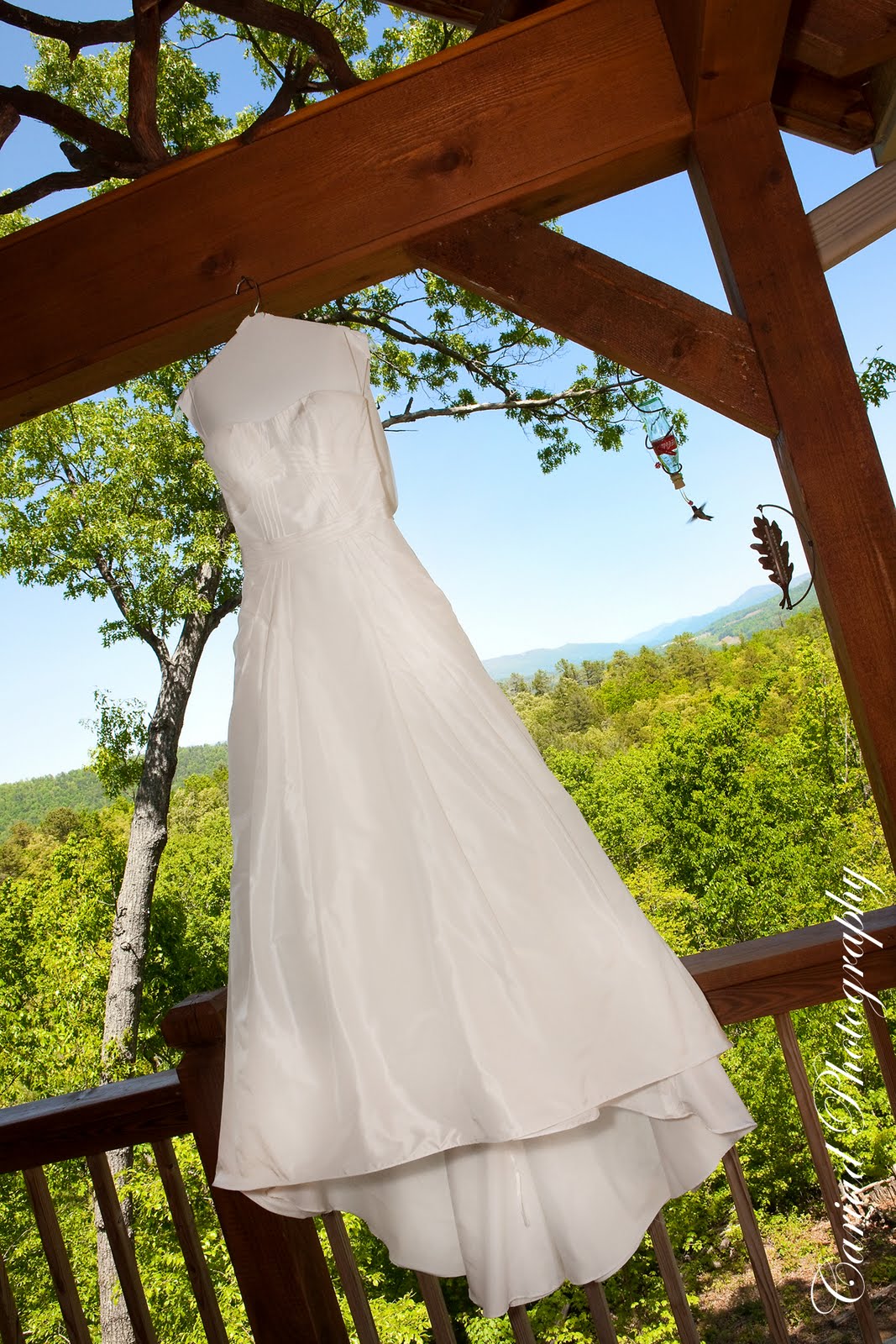 Cariad Photography Blog: Lake Rabun Pavillion - North Georgia Wedding!