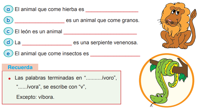 2°, 28 de abril del 2021, Ortografía, grado segundo de primaria.