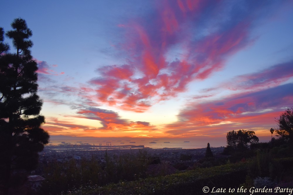 Late to the Garden Party: Wednesday Vignette: Harbor views