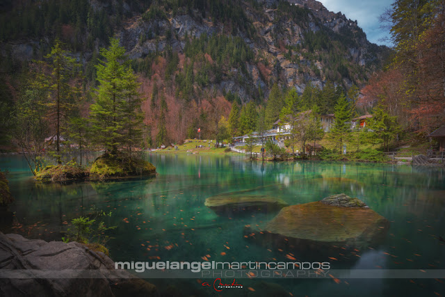 Que ver en Suiza (Día 5): Visitar el Lago Blausee y Conclusiones.