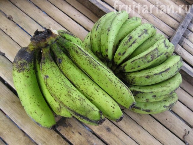 Banana In The Philippines