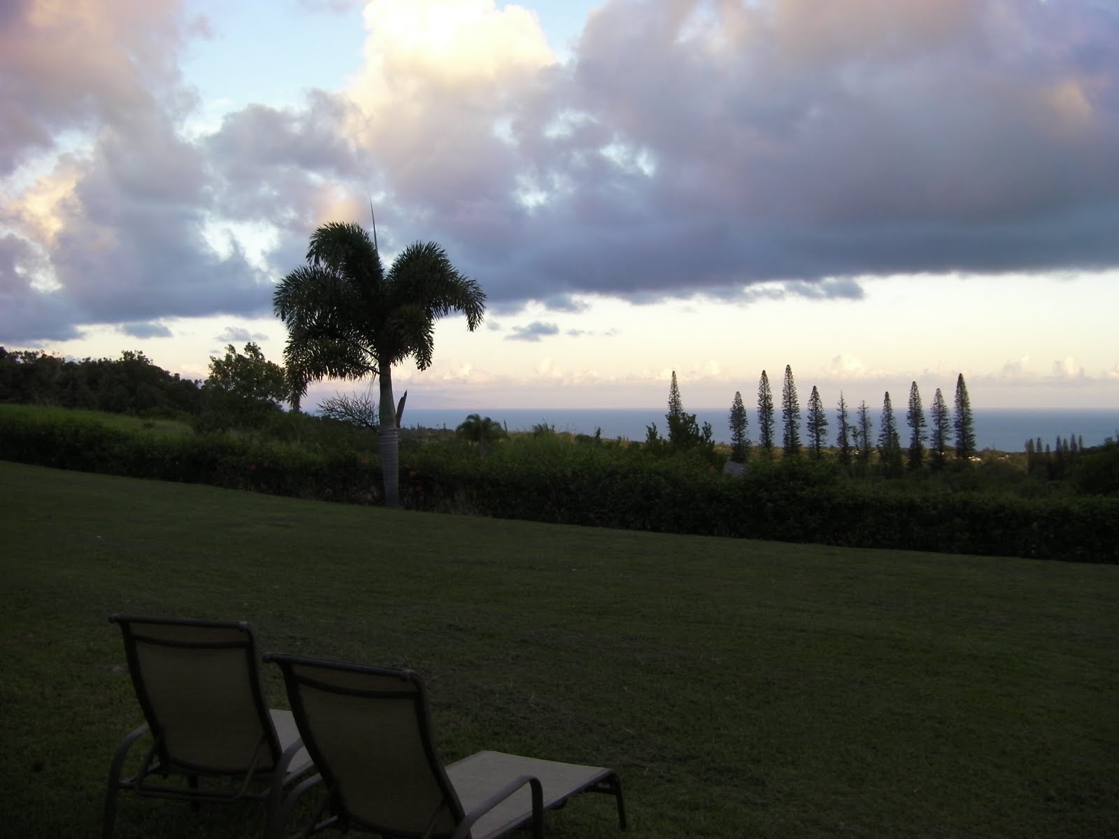 WaterTurtle: Hello Maui, Goodbye Maui