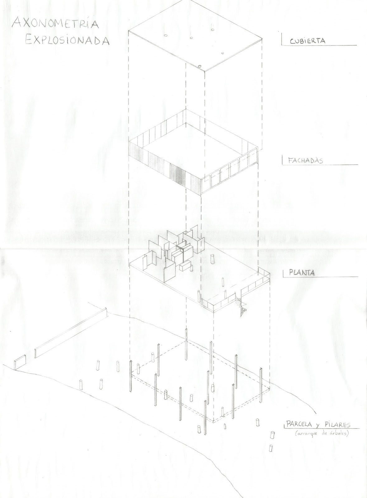 SGF ARQUITECTURA: CUADRADO - USUARIO