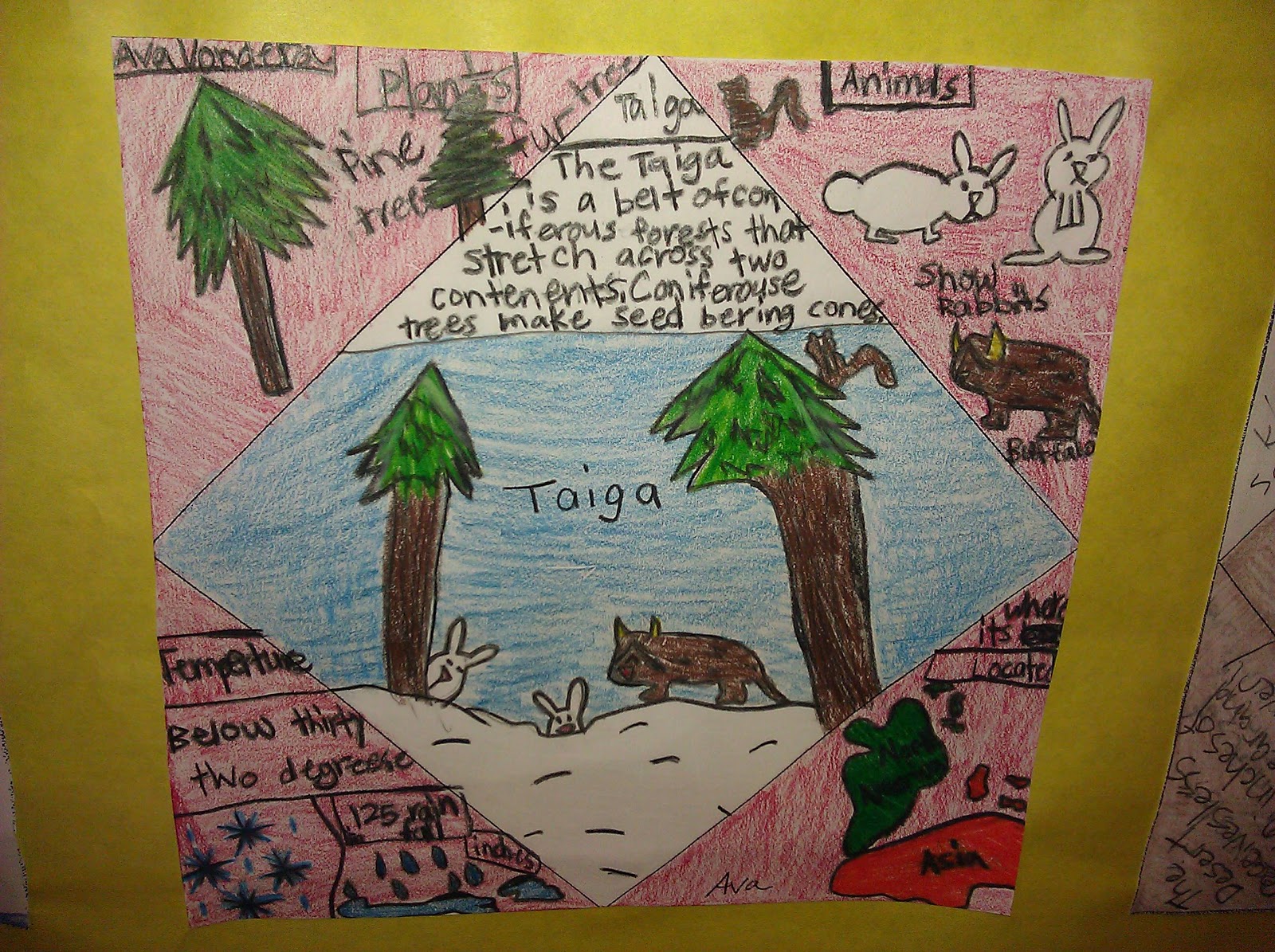 Mrs Garrison s 4th Grade Lots Of Science Mrs Garrison s 4th Grade Lots Of Science