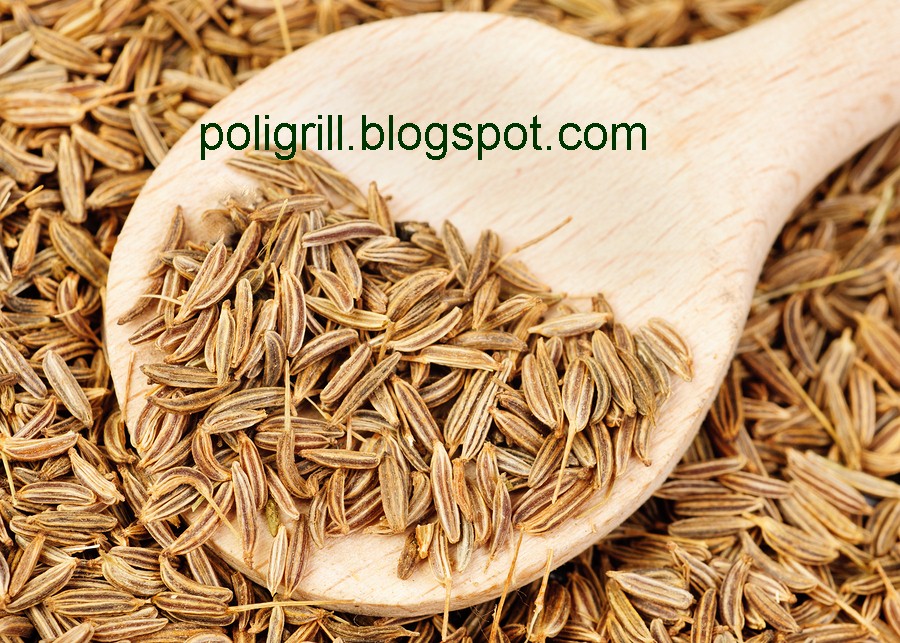 PoliGrill: Essential Healthy Spices