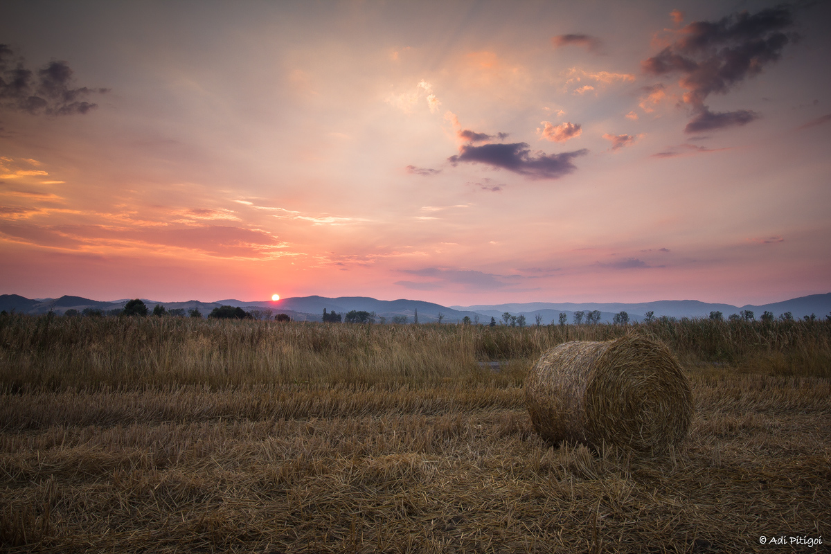 Din nou în Retezat, la lacul Bucura și pe vârful Bucura I (14-16 august ...