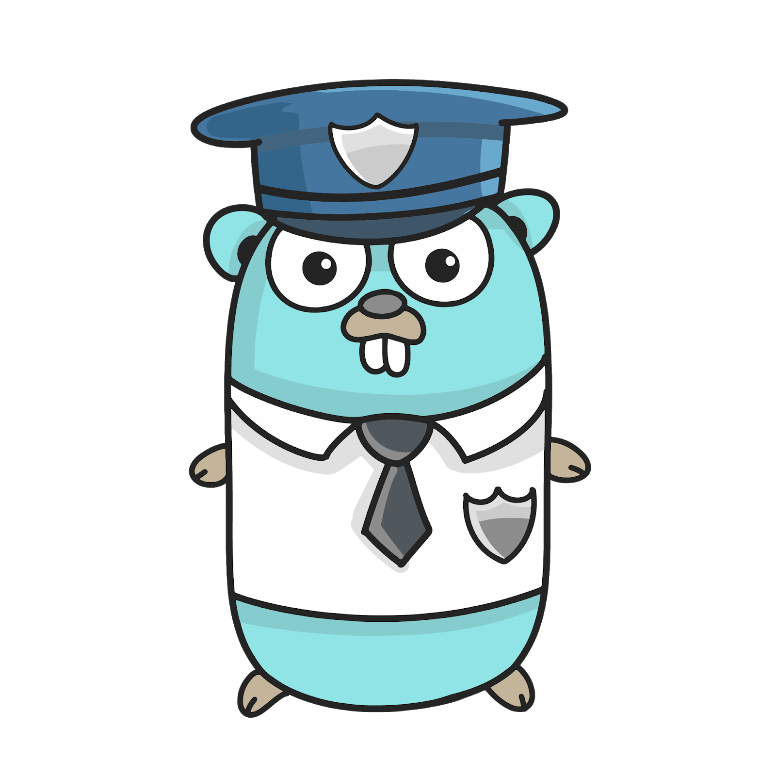 Gosec Golang Security Checker