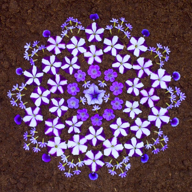 Prism of Threads : ⋯ Danmala ⋯