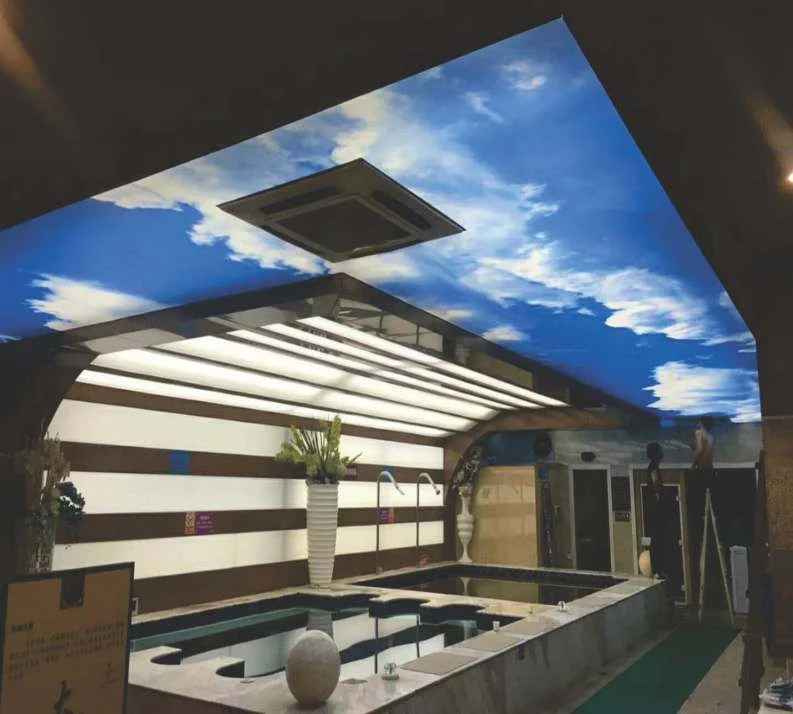 ..Architect-Interior~~: Stretch Ceiling Gallery