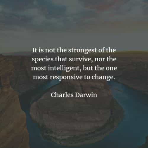 80 Witty quotes and sayings with mind-blowing humor