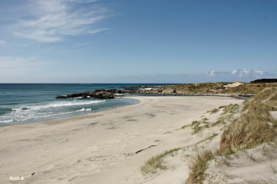 solsikken: Brusand strand