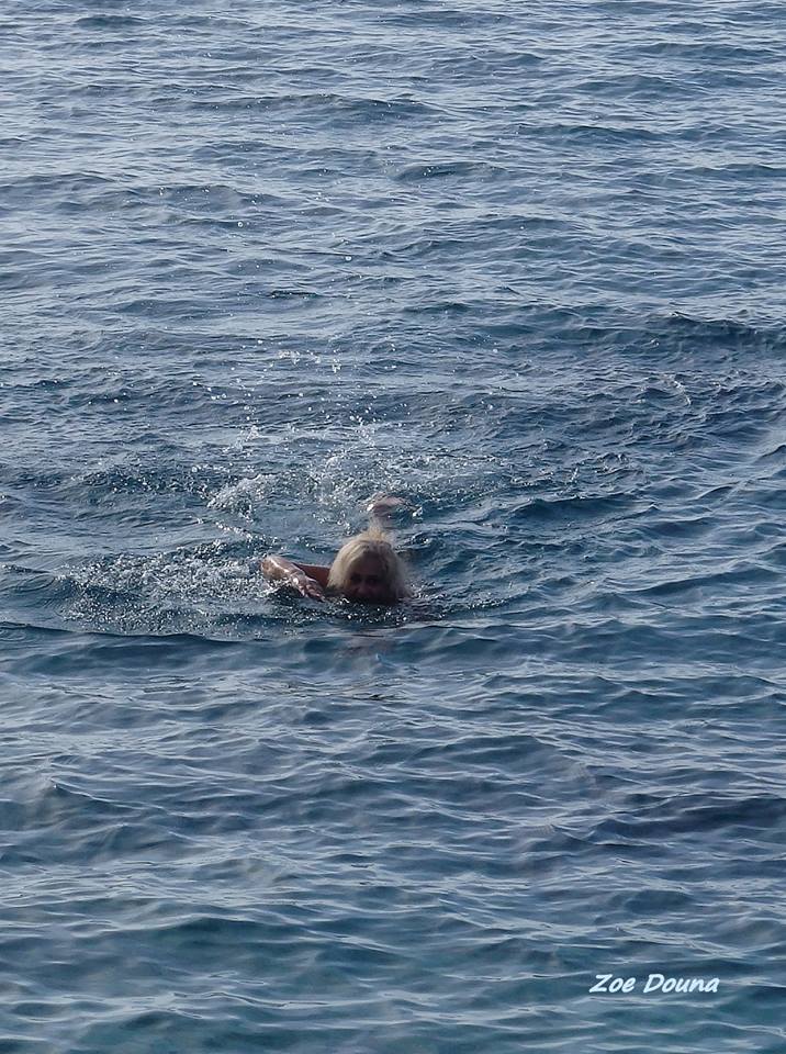 Homo Universalis: "ΕΙΔΥΛΛΙΑΚΗ"ΑΤΤΙΚΗ ΓΗ - ΦΩΤΟΓΡΑΦΙΚΟ ΑΛΜΠΟΥΜ ΤΗΣ ΖΩΗΣ ...