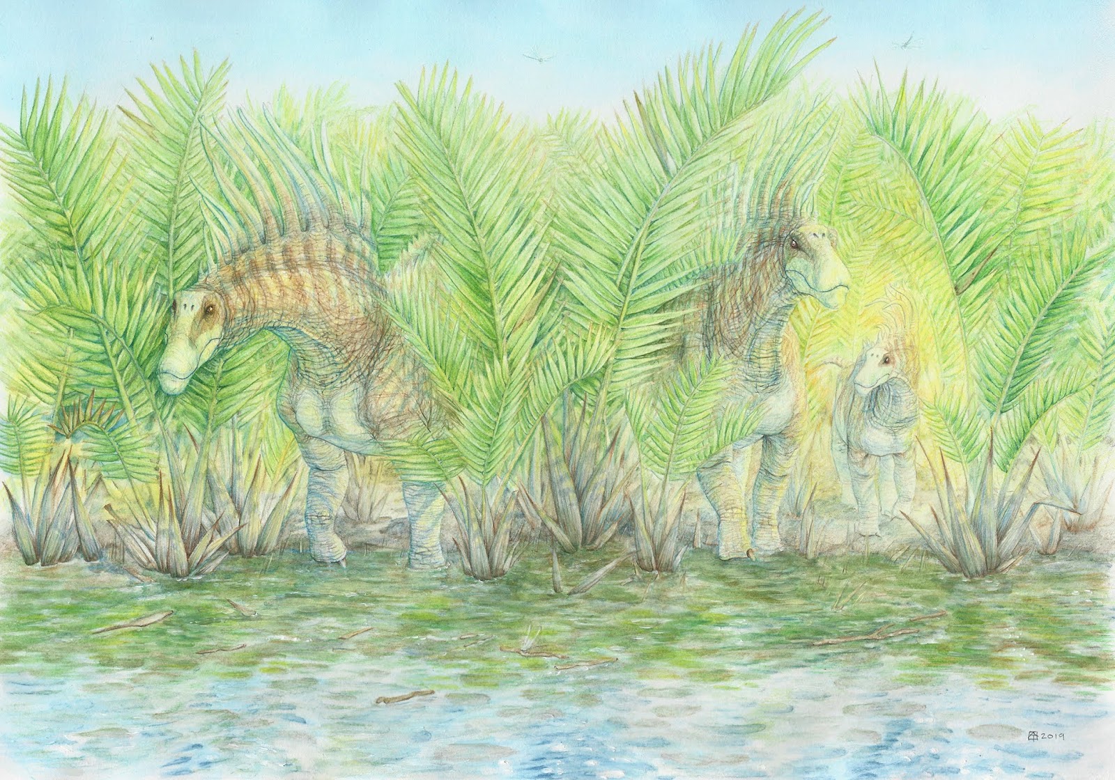 Bajadasaurus pronuspinax