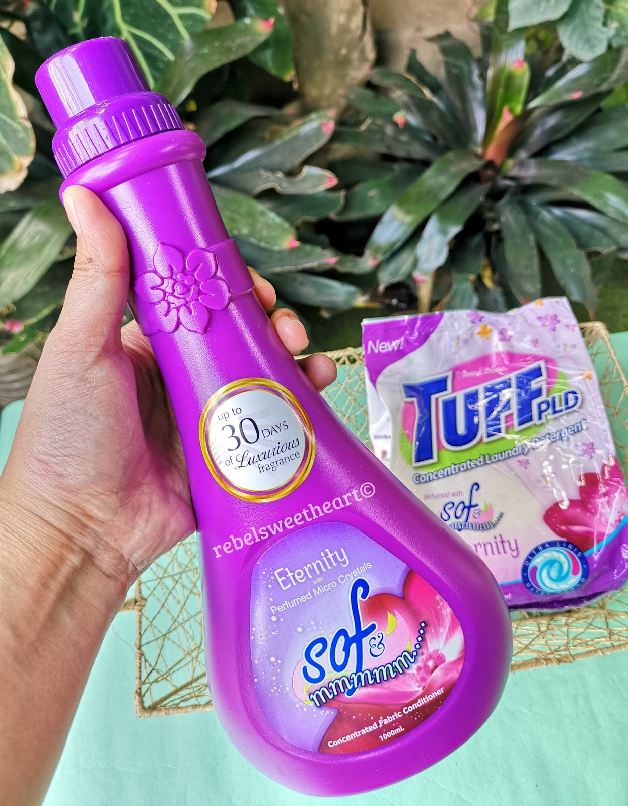 The Rebel Sweetheart.: For Homecare Products, #VotePC2019.