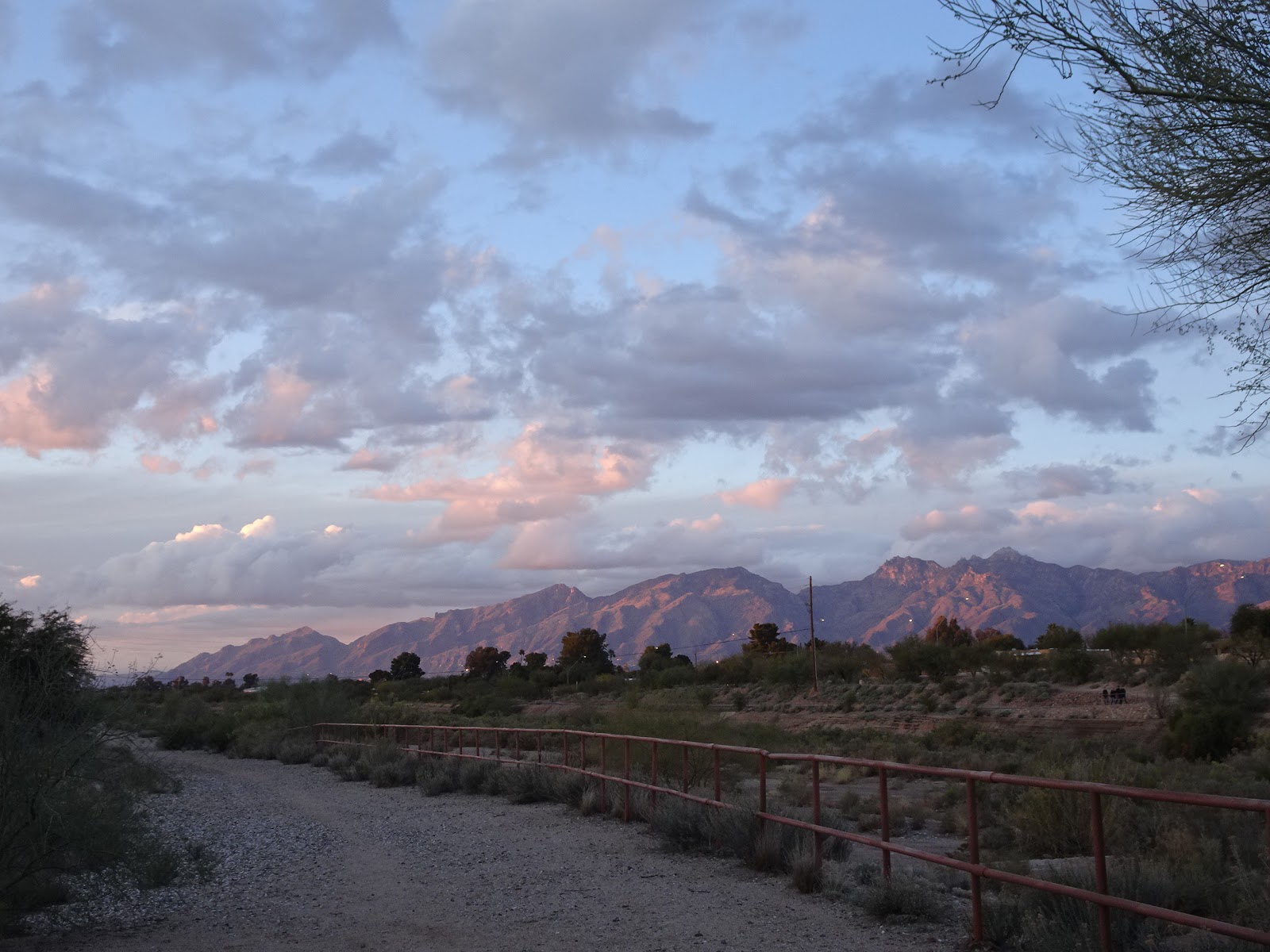 Traveling with Tucson : Tucson - Last week of December