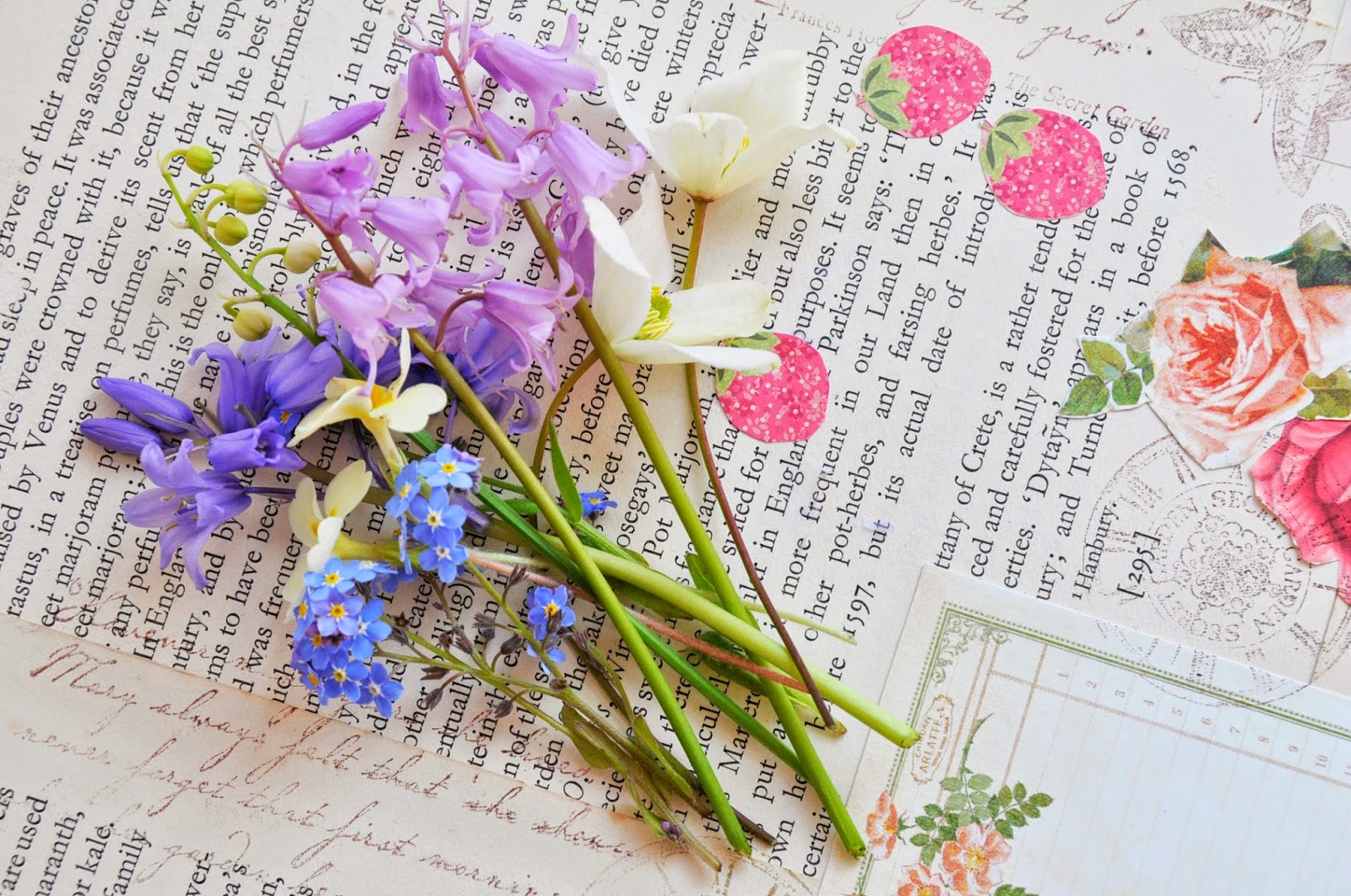 Helen Philipps: Flower Patches