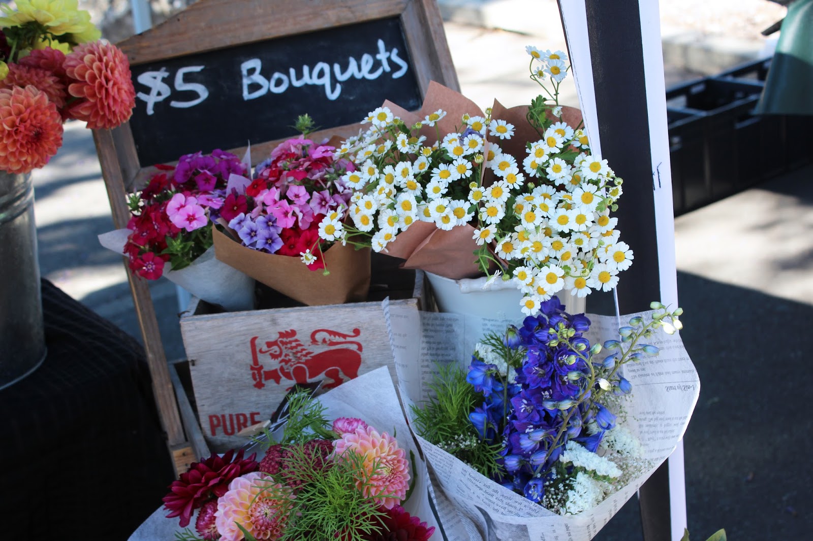 Napier Farmers' Market | GracefullyVintage