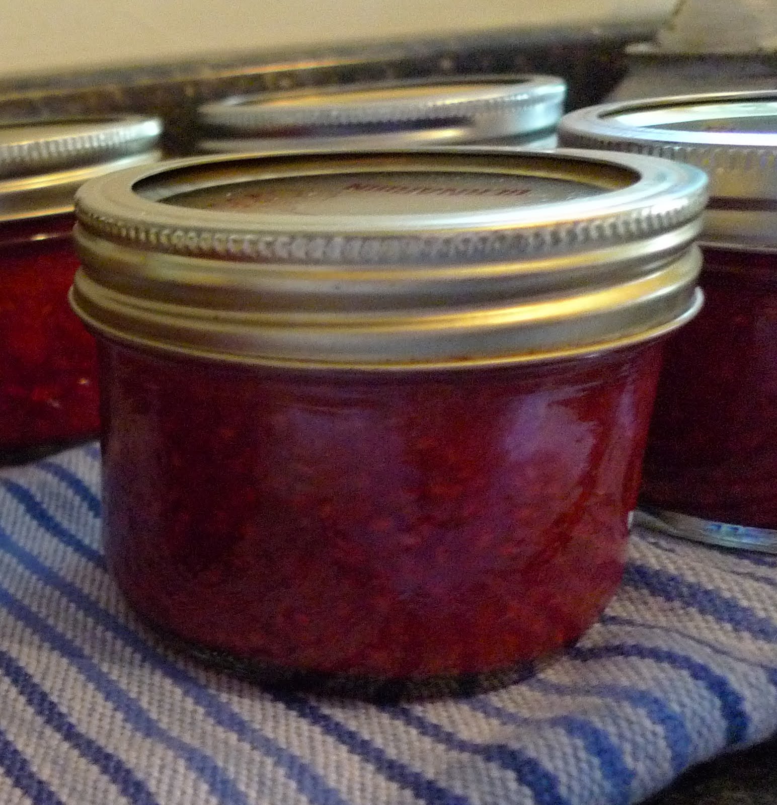 Canning Raspberry Jam – Backwoods Mama