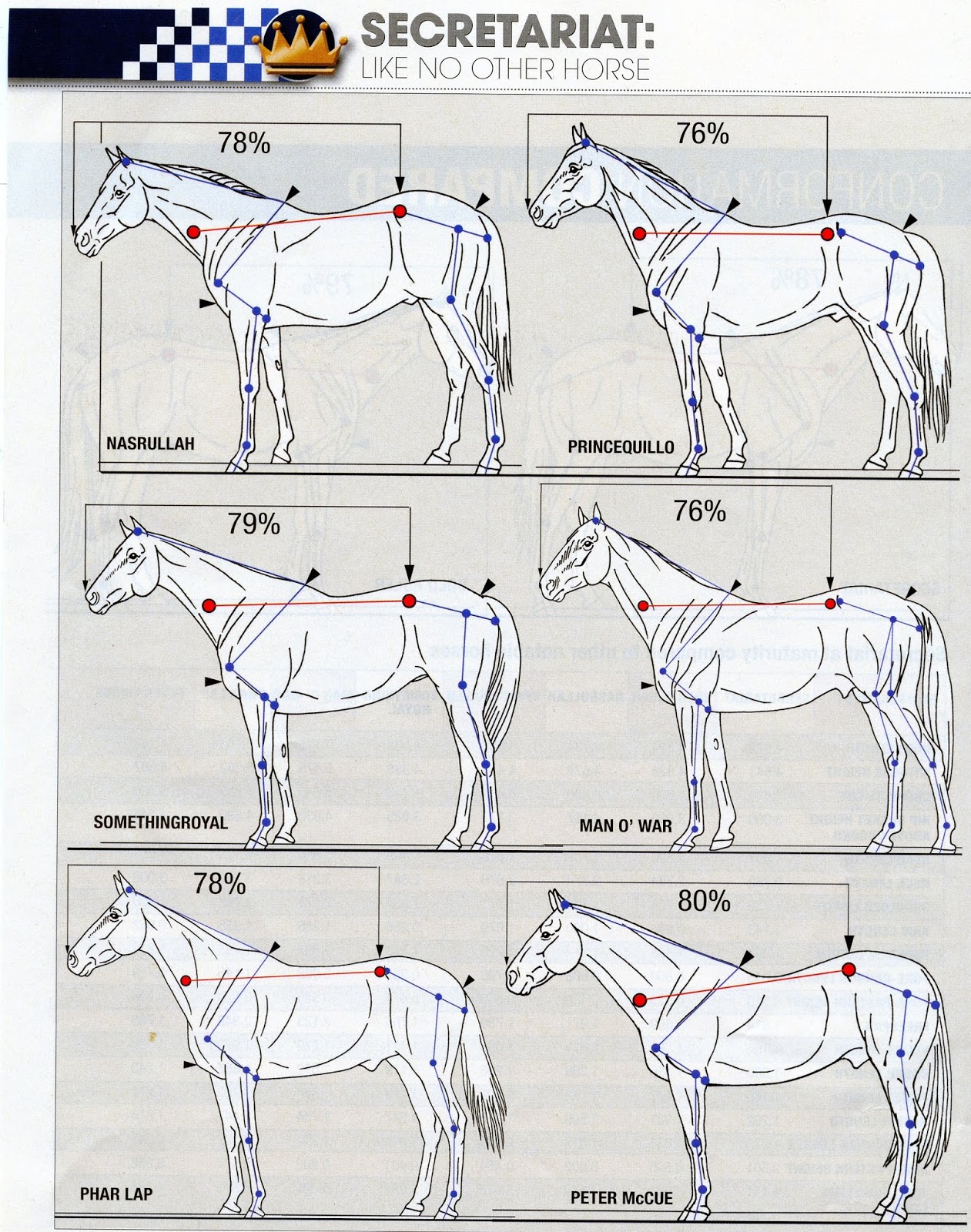Fox Hollow Sport Horses: Conformation of Secretariat