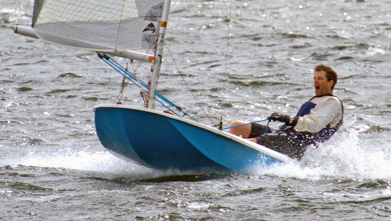 Earwigoagin: Header Photo: British Moths Sending It!