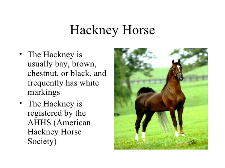 EXAMS AND ME : Hackneyed