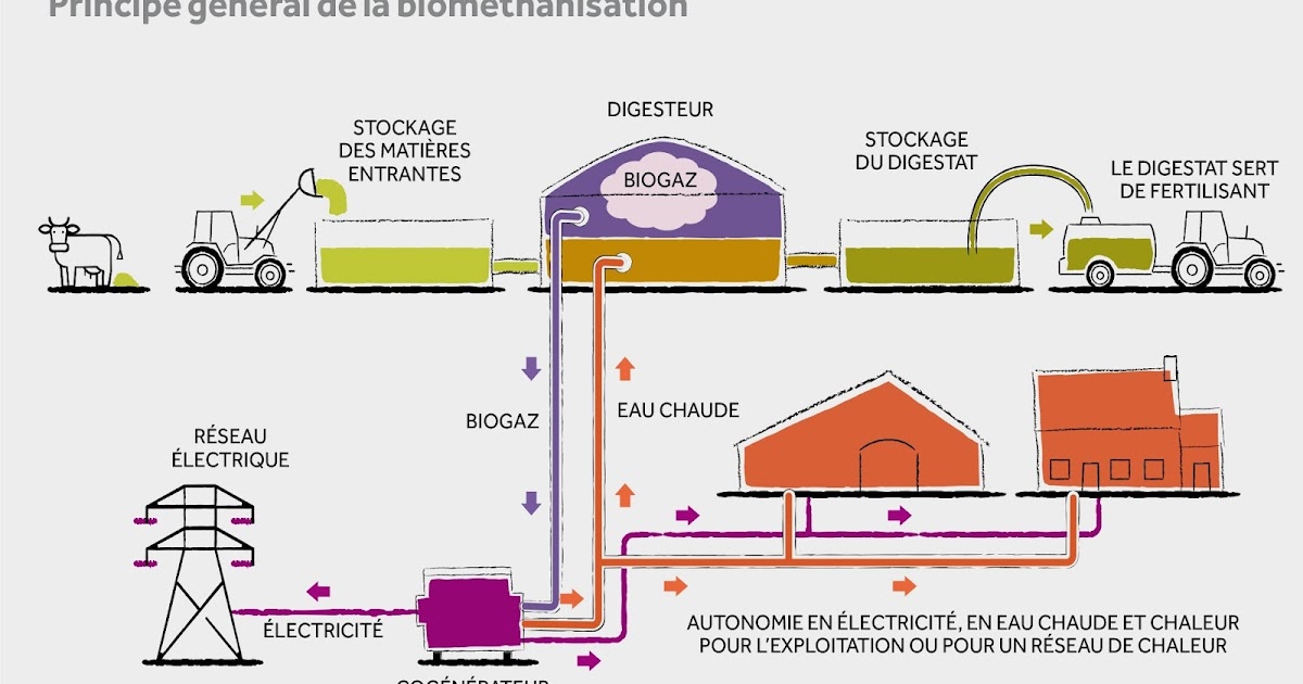 Qu'est-ce que la biométhanisation