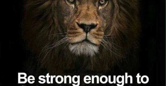 38 Strength Quotes on Life to Empower You To Succeed - NEWSOLOGYS