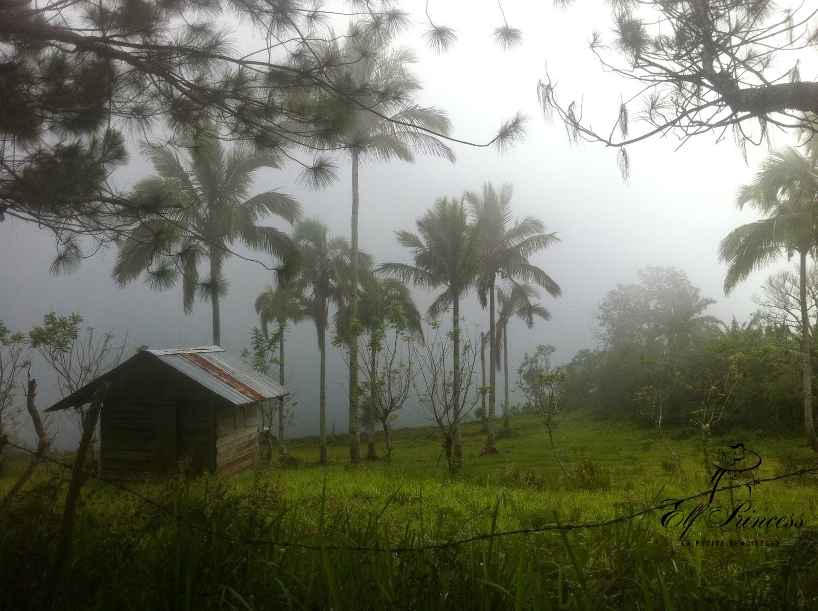 Elf Princess´ Travel Diaries: Zipline @Camp Sabros Mountain Resort