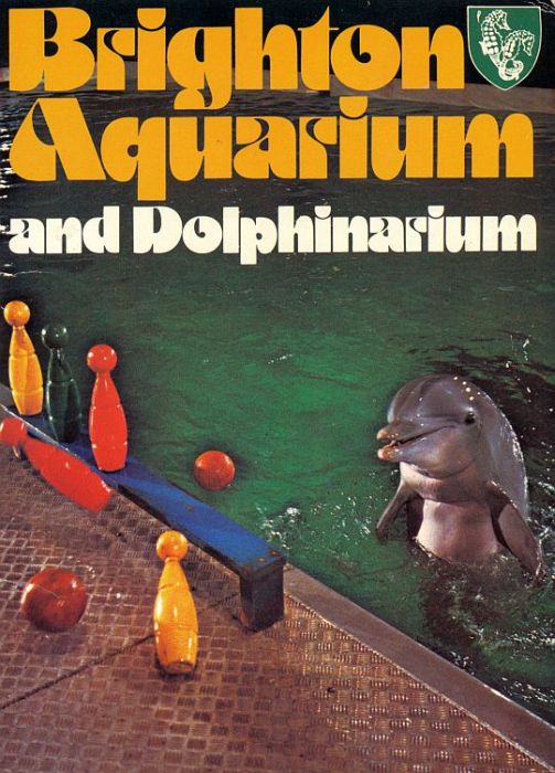UK Dolphinaria Archive: Brighton Aquarium & Dolphinarium: 1968 - 1990