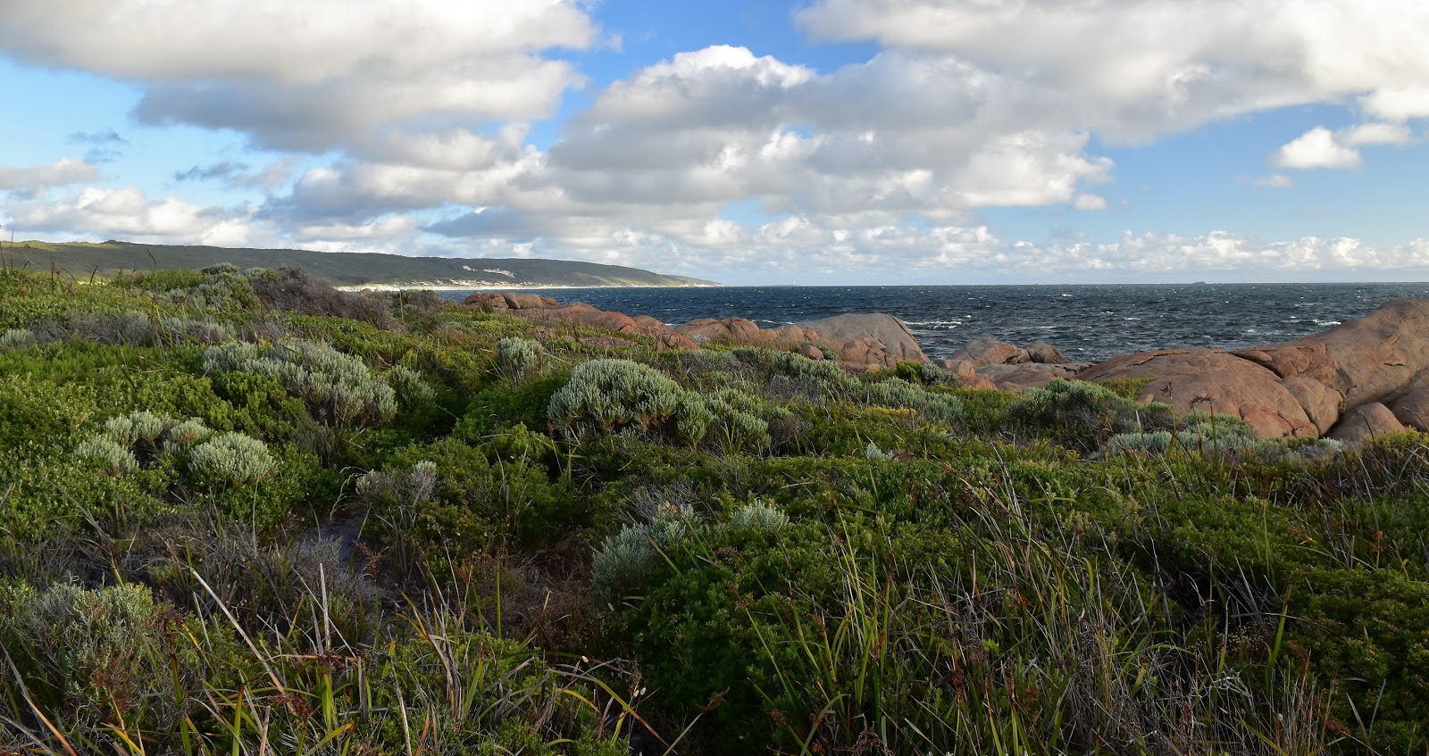 Goin' Feral One Day At A Time: Point Road Campground to Deepdene ...