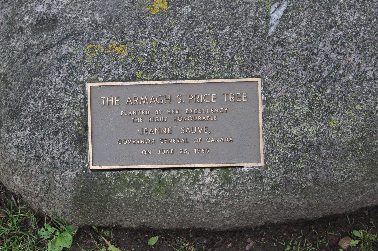 Memorials in Ottawa: Armagh S. Price Tree