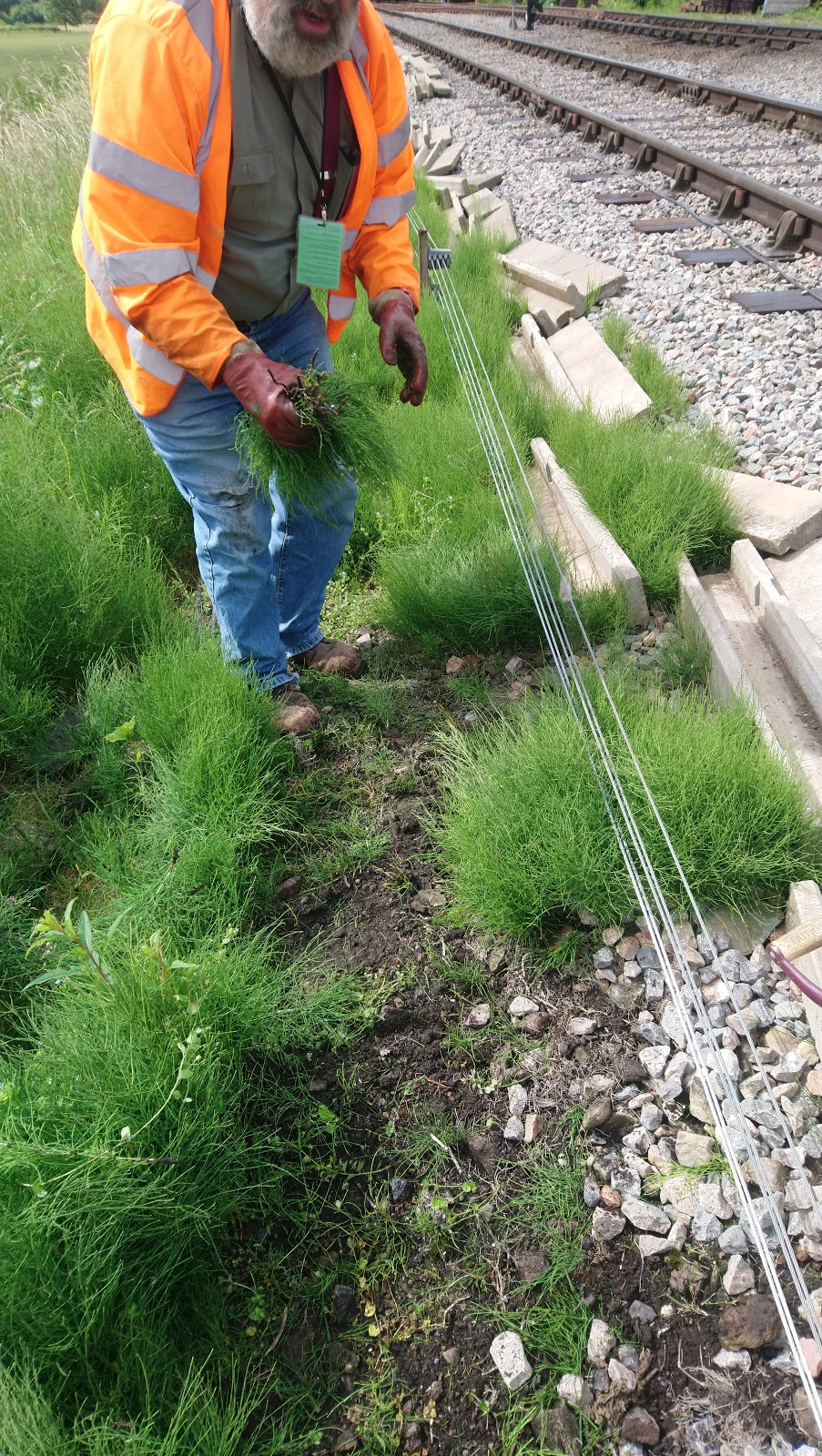 GWSR S&T: Laying the Troughs