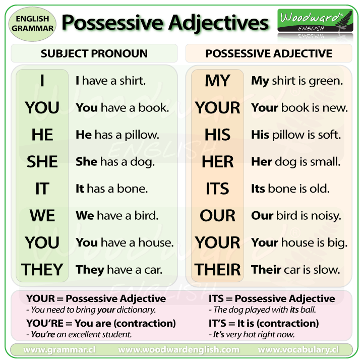 Possessive Adjectives Possessive Adjectives possessive-adjectives-possessive-adjectives