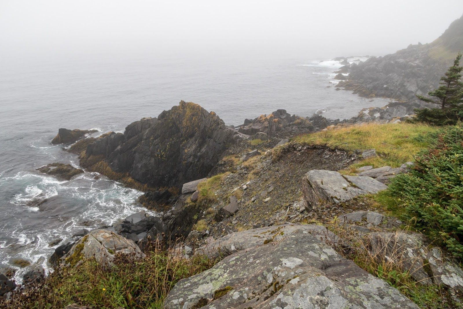 Eric's Hikes: East Coast Trail Day 2: Chance Pond River to South Cape ...